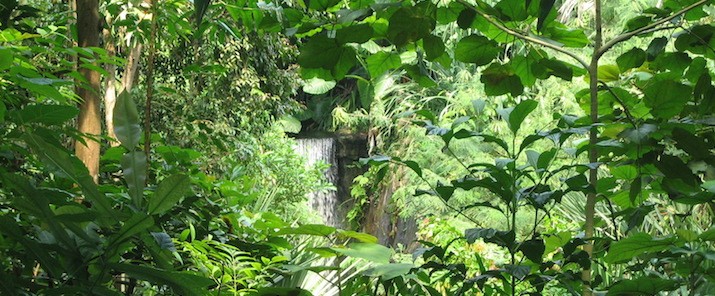 Madagascar – Rainforests of the Atsinanana | UNESCO Chair in ICT to ...